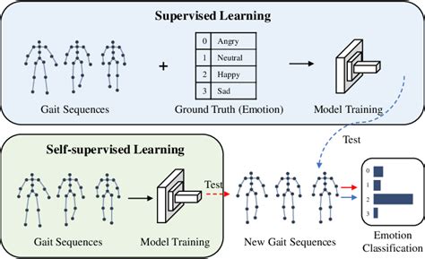 Figure 3 From Self Supervised Gait Based Emotion Representation Learning From Selective Strongly