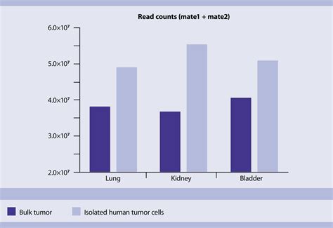 Tumor Cell Isolation Cancer Cell Analysis Miltenyi Biotec Usa