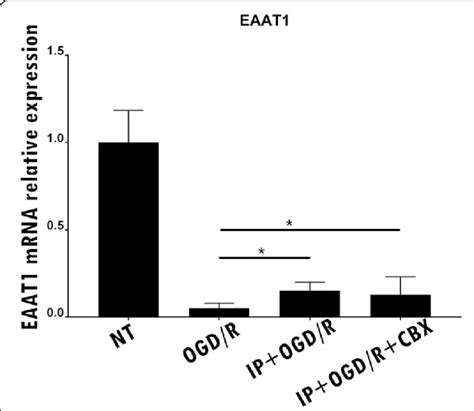 Ischemic Preconditioning Ip And Ip Carbenoxolone Increased Download Scientific Diagram
