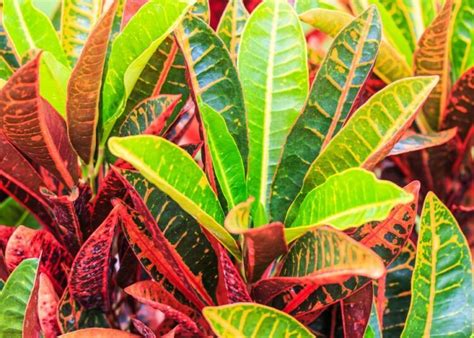 Cores Que Combinam Com Cinza Dicas E 60 Projetos Inspiradores