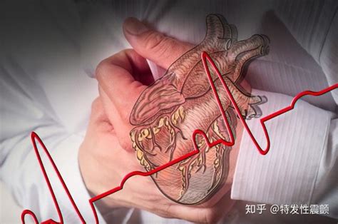 中医养肾防衰老 日常保健养肾方法 知乎