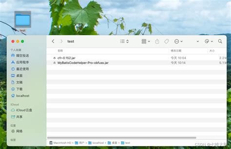 IDEA MyBatisCodeHelper Pro插件 丨吴丨 博客园