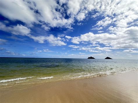 ハワイ｜千葉県野田市の不動産売買なら地域密着のひだまりハウス野田店