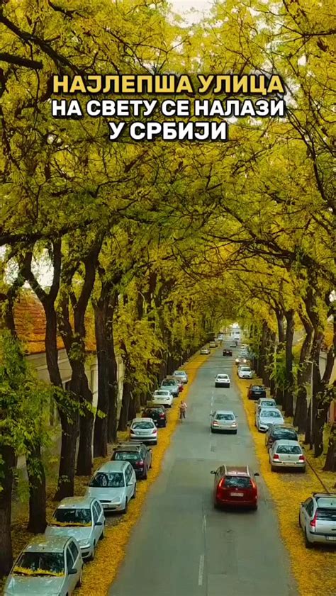 Србија 🇷🇸🏞️🌍 Минимакс на духовит начин објашњава зашто не подигну свој глас певачи свираћи