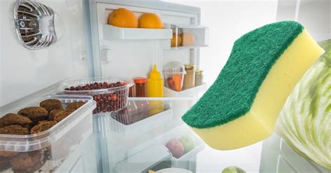 ბრძენმა მეზობელმა მაცივარში ჭურჭლის ღრუბლის დადება მასწავლა ახლა ყოველთვის ასე ვაკეთებ