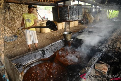 Proses Pembuatan Gula Merah ANTARA News