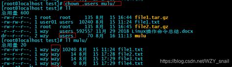 Linux 变更文件或目录的拥有者和所属群组命令 Chown 和 Chgrpchown 子目录 Csdn博客