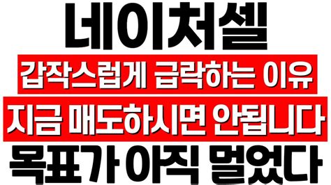 네이처셀 주가 전망 오늘 급락하는 진짜 이유 이렇게 대응하셔야 합니다 목표가 멀었습니다 네이처셀 목표가 분석 네이처셀 조인트스템 줄기세포 네이처셀 스템셀 샴푸