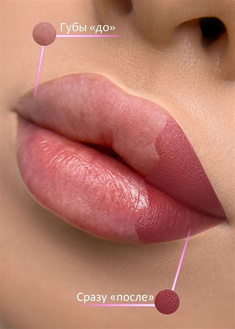 Instagram Beauty Retouch Pmu 💄 в 2025 г Пигмент для губ Макияж губ Инъекции губ