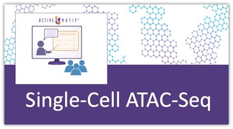 Active Motif On Linkedin [webinar] Analysis Of Single Cell Multiome Atac Seq Gene Expression💻…
