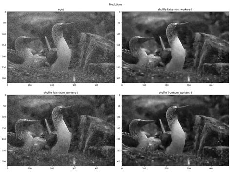 encountered strange overfitting during training with `num worker 0` when shuffling is off