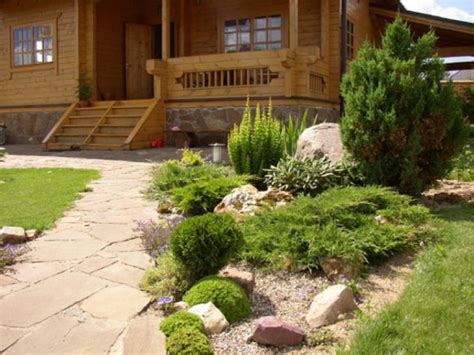 Хвойники в ландшафтном дизайне фото