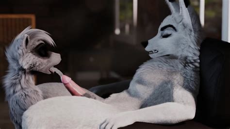 Don T Want Your Love Furry Pmv