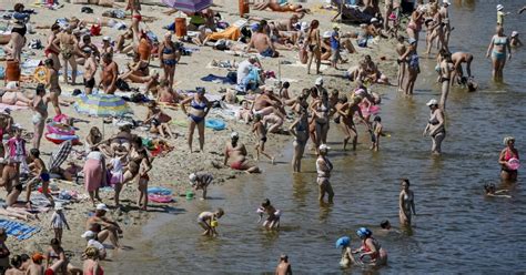 ДСНС в Україні вперше за десятиліття зафіксували зараження людей на лептоспіроз на пляжах