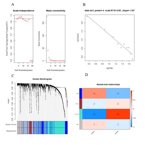 a analysis of network topology for various soft thresholding powers