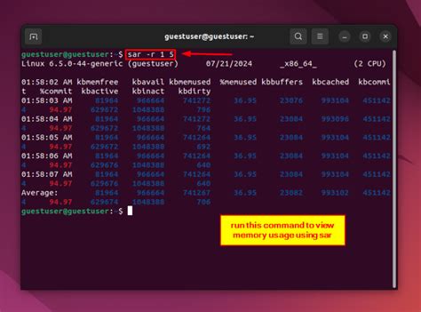 How To Check Memory In Linux 8 Easy Ways
