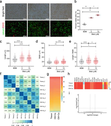 成人原代心肌细胞的功能分离培养和冷冻保存 Signal Transduction and Targeted Therapy X MOL