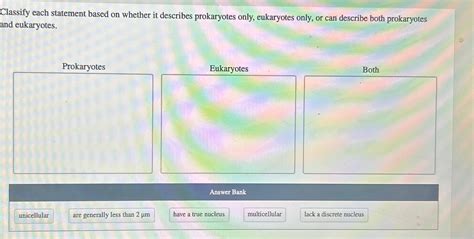 Solved Classify Each Statement Based On Whether It Describes