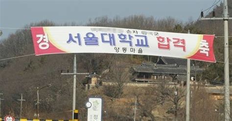 우리손자 서울대 합격했어요