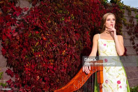 젊은 슬림 백인 여자 에 긴 장식 드레스 포즈 와 하프 에 아이비 벽 옥외수평 이미지 25 29세에 대한 스톡 사진 및 기타 이미지 25 29세 가을 관능 Istock