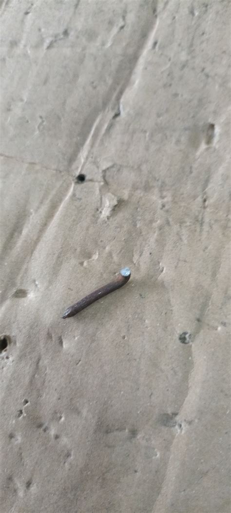 Deteksi Objek Paku Object Detection Dataset And Pre Trained Model By Yeovil