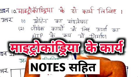 माइटोकांड्रिया के दो कार्य लिखिए Mitochondria Ke Do Karya Likhiye माइक्रो कंडिया के कार्य