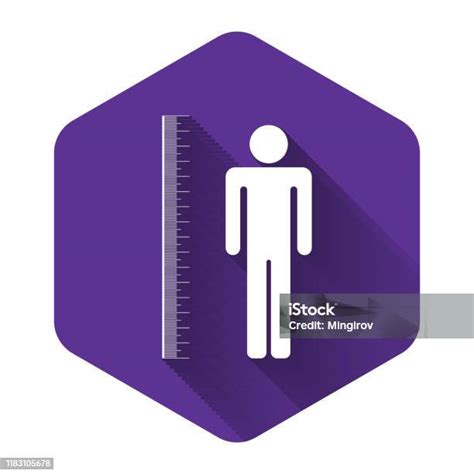 긴 그림자로 격리된 흰색 높이 측정 높이 본문 아이콘입니다 보라색 육각 버튼 벡터 일러스트레이션 개념에 대한 스톡 벡터 아트 및 기타 이미지 Istock