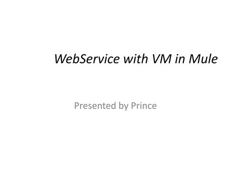 Webservice With Vm Mule Ppt