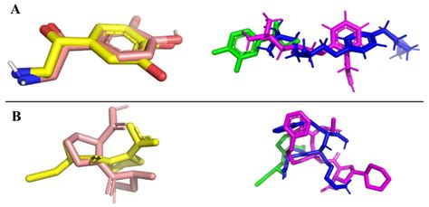 Molecular Modeling Of Vasodilatory Activity Unveiling Novel Candidates Through Density
