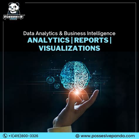 Possesive Panda On Linkedin Dataanalytics Businessintelligence Analytics Reports