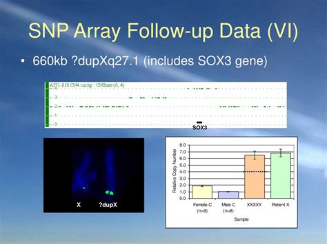 PPT Development Of SYBR Green RT QPCR To Confirm Small SNP Array Aberrations PowerPoint