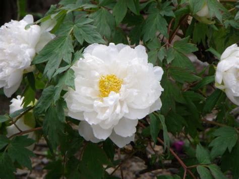 Mt Blog