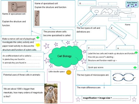 Gcse Cell Biology Revision Workshop Cell Structure And Function Specialised Cells And