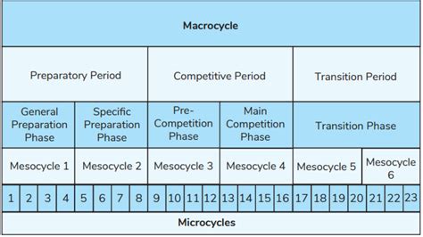 Complete Guide To Training Periodization How To Plan For Peak Performance