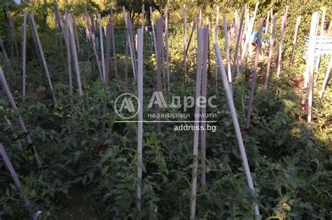 Къща в село Долно Ботево Двуетажна къща 200 кв м РЗП 750 кв м двор Къщи Вили До