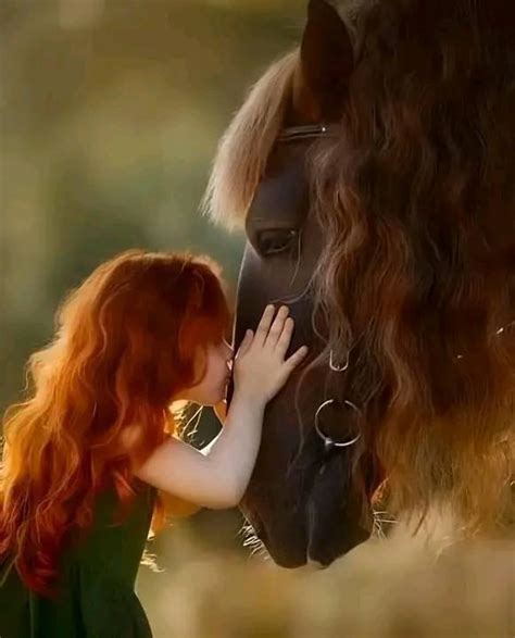 ‎مملكة الأسرة المسلمة مملكة الأسرة المسلمة سيرين