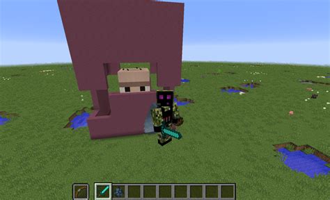 The Shulker Minecraft Map