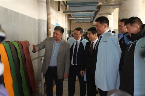 Монгол Улсын Ерөнхийлөгч У Хүрэлсүх арьс ширний салбарт ажиллалаа