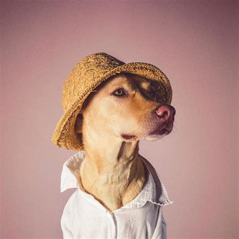 Overview For Tom Devaney