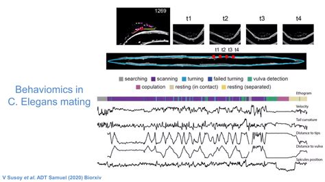 Big Behaviour Leveraging Deep Learning For Behaviomics Possible