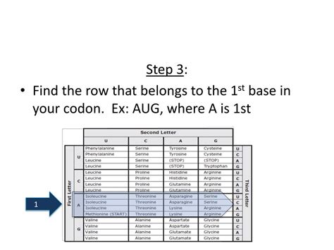 PPT The Codon Chart PowerPoint Presentation Free Download ID 2435597