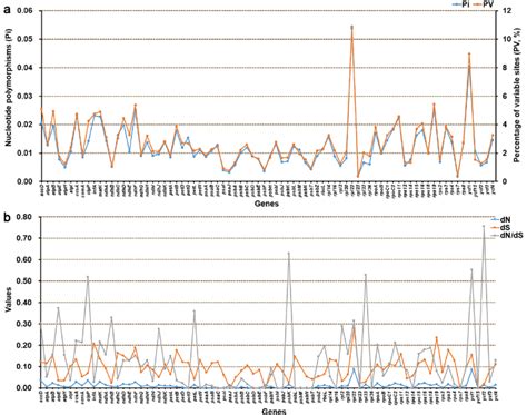 Sequence Polymorphism Among 78 Shared Plastidial Genes Of 8 Mazaceae Download Scientific