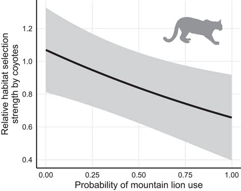 Relative Habitat Selection Strength Exponentiated Linear Predictor