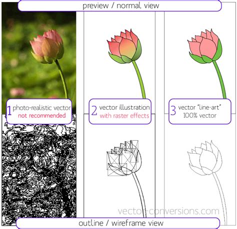 Raster Bitmap Vs Vector