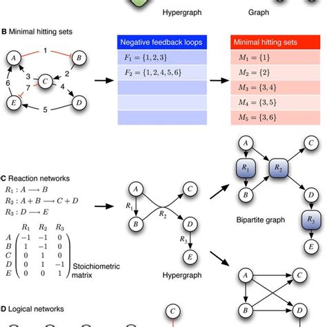 pdf hypergraphs and cellular networks