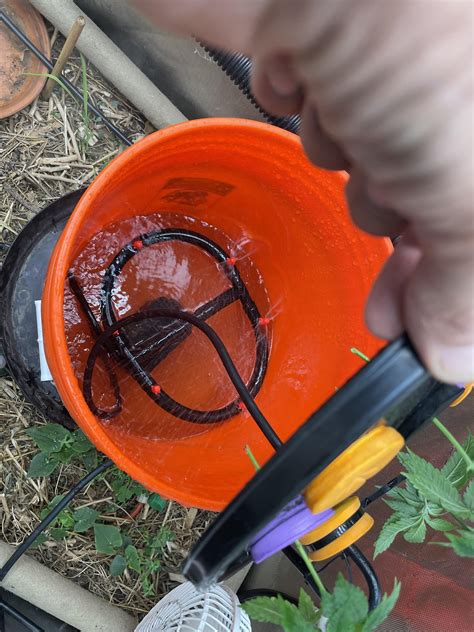 Diy Cloner First Time Trying To Clone R Microgrowery