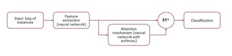 How To Multi Instance Learning Graylight Imaging