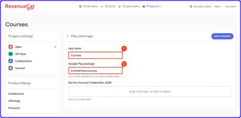In App Subscriptions Using Revenuecat And Flutterflow