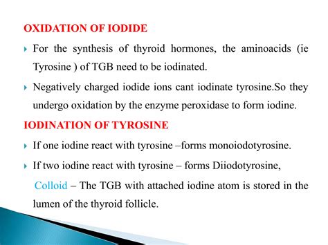 Synthesis Of Thyroid Hormones Pptx