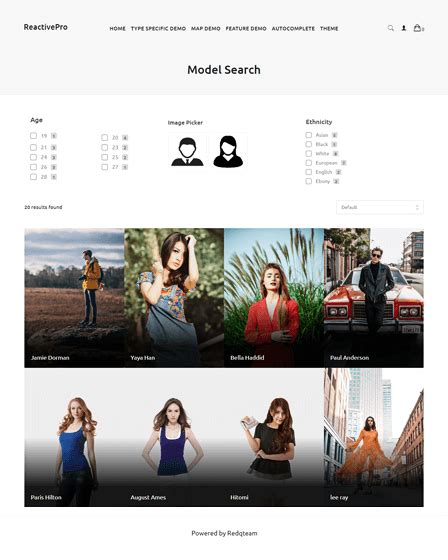 Reactive Search Pro Wordpress Search Filter Plugin Inkthemes